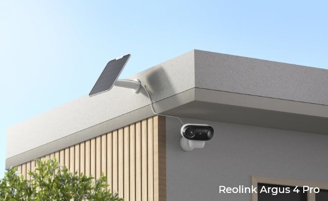 Reolink Argus 4 - 4K 180° Panoramik Kör Noktasız Wi-Fi 6 Kamera ...